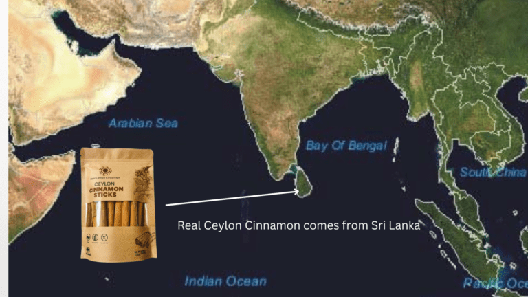 What is Ceylon Cinnamon? Discover the True Spice